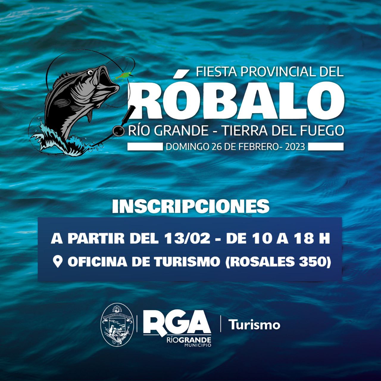 Se viene la gran fiesta del róbalo este domingo 26 de febrero